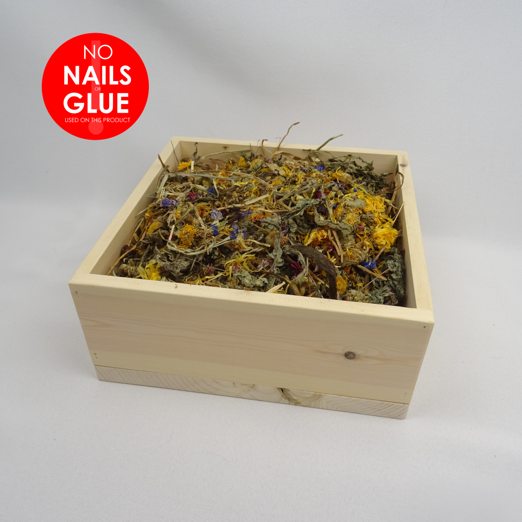 Forage Box Large (No Nails) - Natural Treat Boxes for small pets