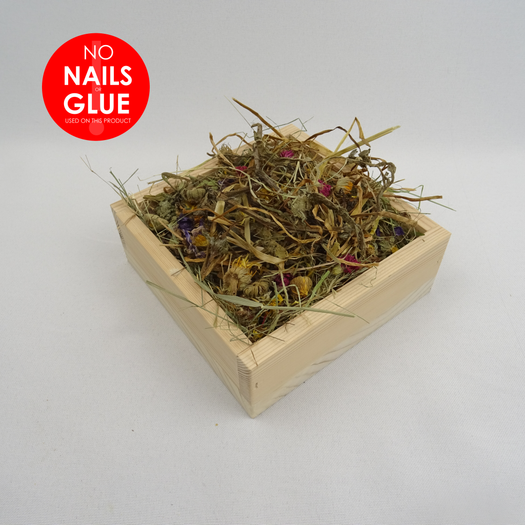 Forage Box Small (No Nails) - Natural Treat Boxes for small pets